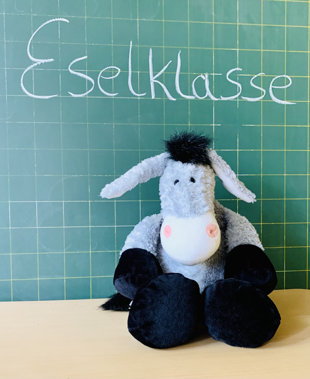 Esel – Ringschule Frechen